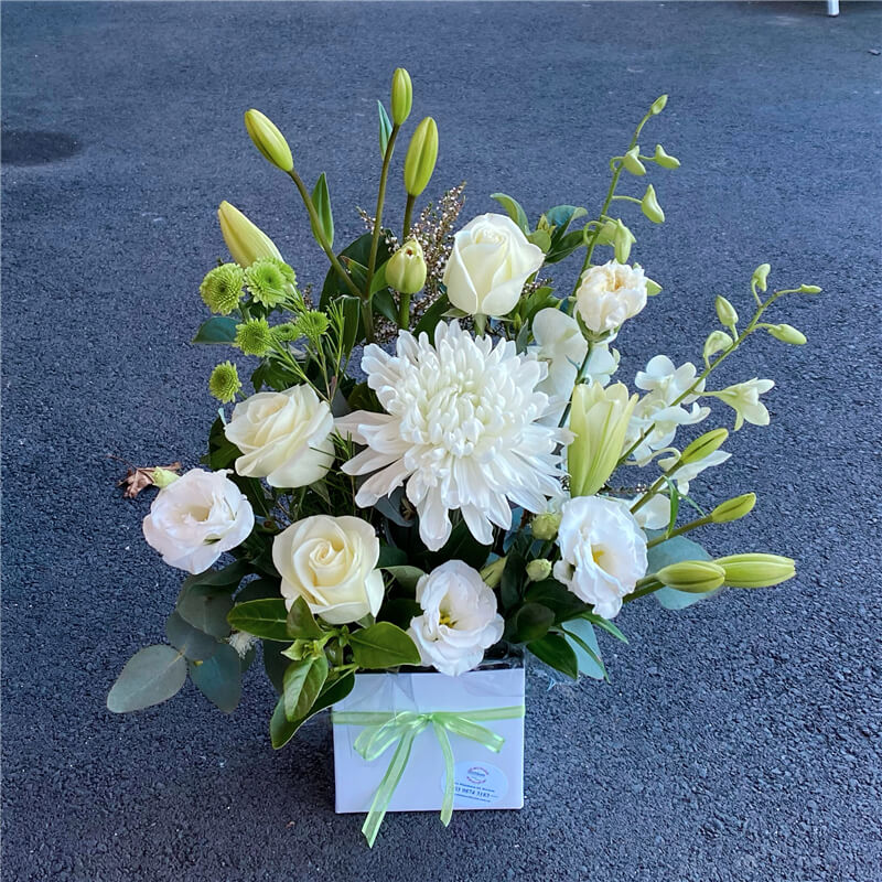 White Dove – Mitcham Florist